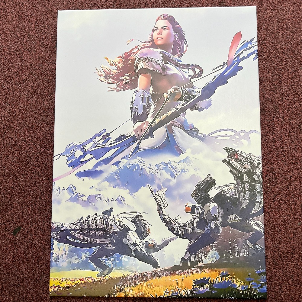 Horizon Zero Dawn Displate - Own4Less